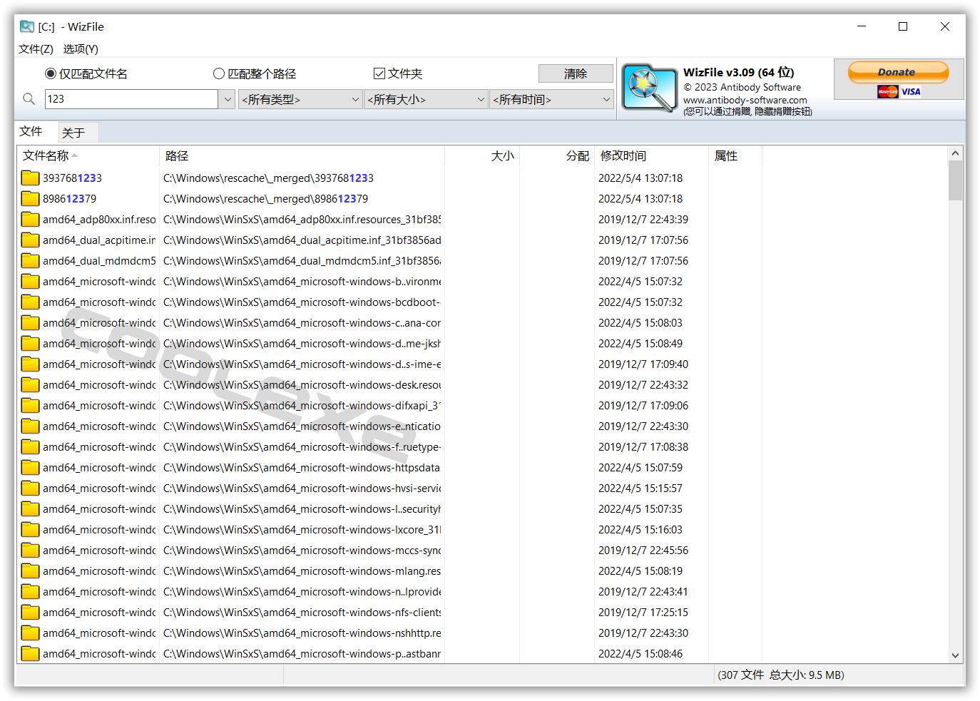 WizFile v3.10 文件搜索工具 便携版 - 阿酷杂货铺